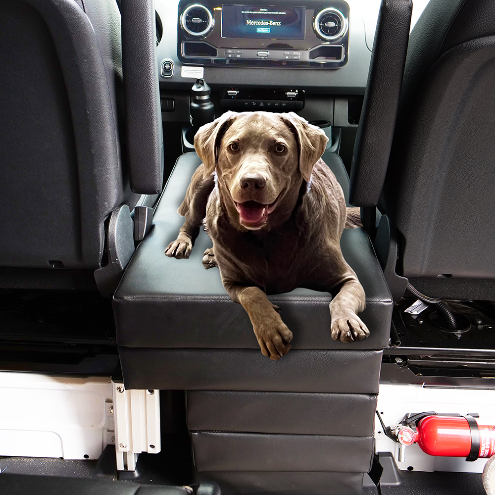 Van Life with Dogs: Tips and Tricks for a Happy Adventure - RoamRest