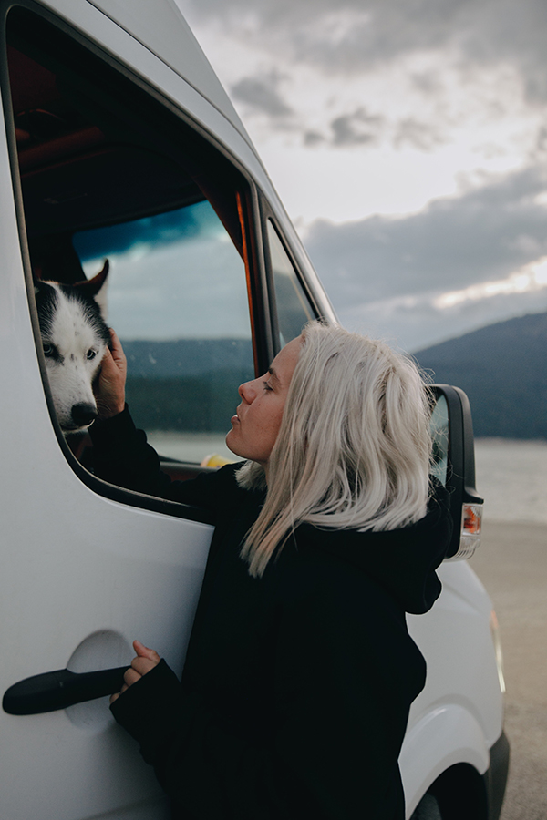 Van Life with Dogs: Tips and Tricks for a Happy Adventure - RoamRest
